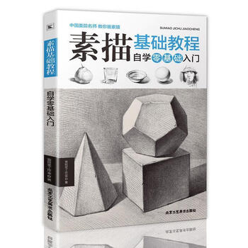 中国美院名师 教你画素描:素描基础教程(自学零基础入门) 壹枝笔工作室