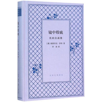 镜中瑕疵