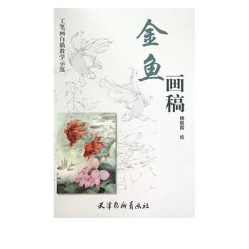 金鱼画稿(工笔画白描教学示范)