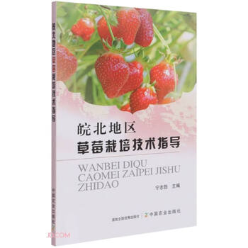 皖北地区草莓栽培技术指导
