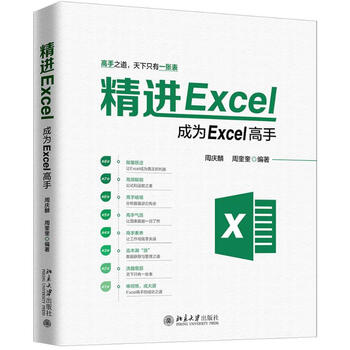 精进EXCEL 成为EXCEL高手