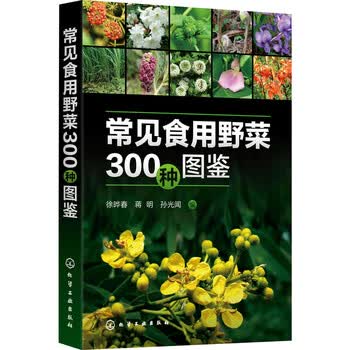 常见食用野菜300种图鉴 徐晔春,蒋明,孙光闻 编 书籍