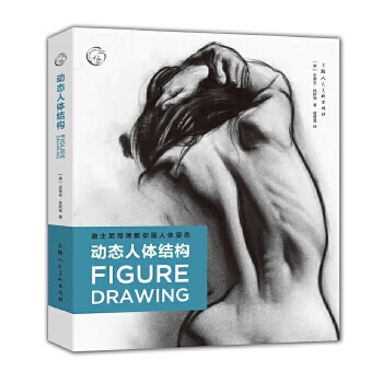 动态人体结构-迪士尼导师教你画人体姿态