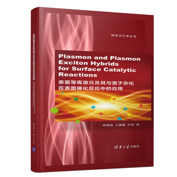 Plasmon and Plasmon-Exciton Hybrids for Surface 