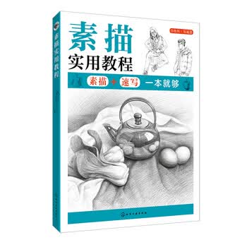 素描实用教程