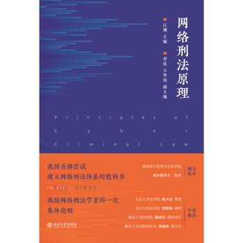 网络刑法原理 江溯 北京大学出版社