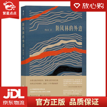 【新华正版】 防风林的外边 黄启泰后浪 九州出版社