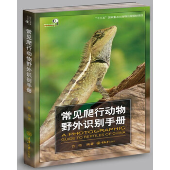 常见爬行动物野外识别手册/科普读物/书籍