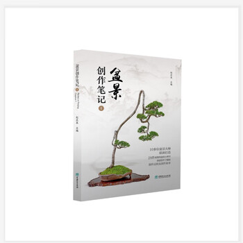盆景创作笔记(1)