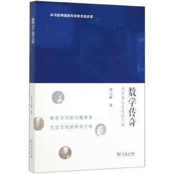 数学传奇(那些难以企及的人物)