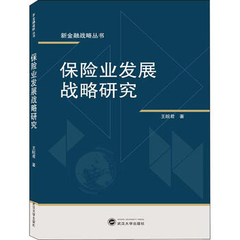 保险业发展战略研究王皖君