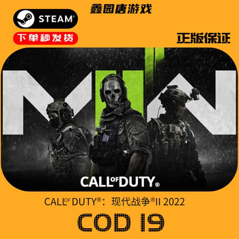 Steam COD19 游戏代购激活码PC中文版call of duty19 MW2Ⅱ 【标准版】【图片 价格 品牌 报价】-京东