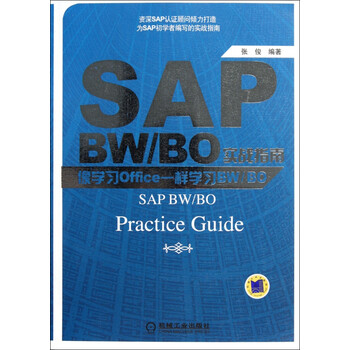 SAP BW\BO实战指南(像学习Office一样学习BW\BO)