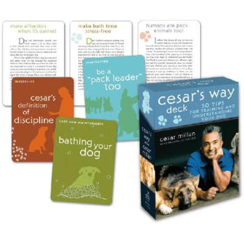 Cesar's Way Deck 50 Tips for Training and Un...