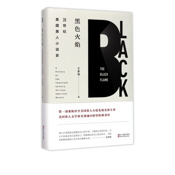 黑色火焰(20世纪美国黑人小说史)(精)