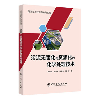 污泥无害化与资源化的化学处理技术