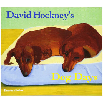 David Hockney's大卫霍克尼画集Dog Days狗狗的日子英文原版图书籍艺术