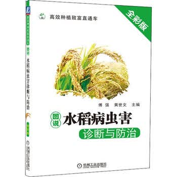 图说水稻病虫害诊断与防治 全彩版