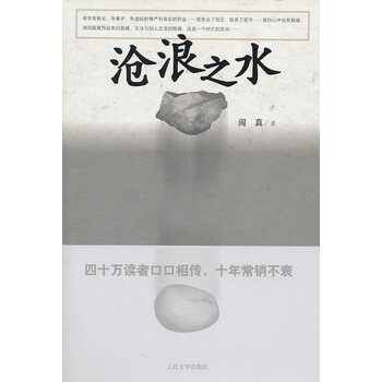 沧浪之水阎真人民文学出版社