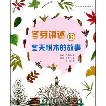 蒲公英生态绘本系列:冬芽讲述的冬天树木的故事【正版图书】