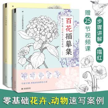 百花+动物描摹集 两本套装 花卉动物素描速写基础入门 描红临摹画本 画画自学零基础 线描铅笔画技法教