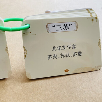 小学生文学常识小升初语文知识点中考考点随身记忆卡片课外阅读