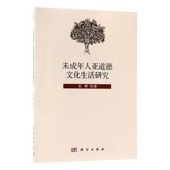 未成年人亚道德文化生活研究 社会科学 书籍