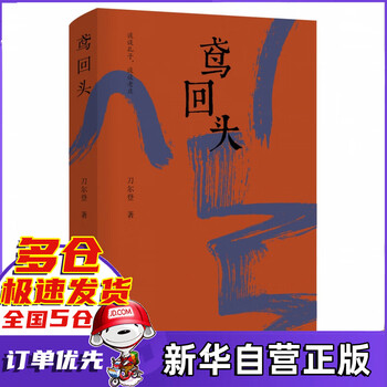 鸢回头