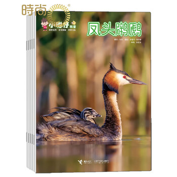 小聪仔科普版杂志2022年全年杂志订阅7月起订 少儿益智科普期刊 开发智力增长知识儿童期刊