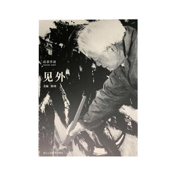 见外 名家手迹 绘画 陈琦主编 浙江人民美术出版社 9787534069758