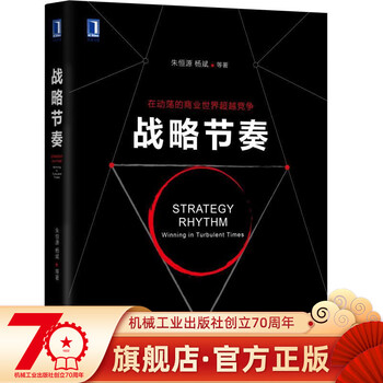 战略节奏 朱恒源 杨斌等