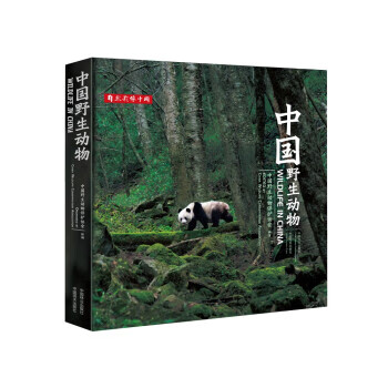 中国野生动物 中国野生动物保护协会 中国海关出版社 9787521914580