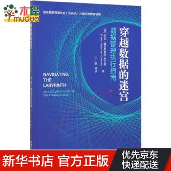 穿越数据的迷宫(数据管理执行指南)