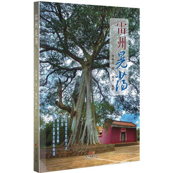 雷州晃荡 9787218103280