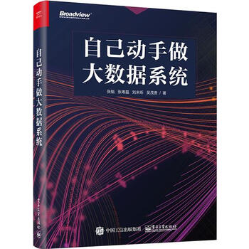 正版 自己动手做大数据系统 张魁等4981251