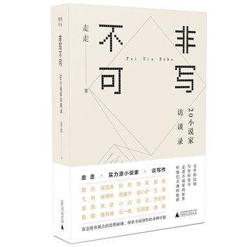 非写不可：20小说家访谈录