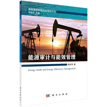 能源审计与能效管理 马晓明,周吉萍 科学出版社