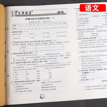 2022新版小升初真题卷必刷题人教版毕业总复习语文数学英语押题卷全真模拟试卷考前突破冲刺名校 真题卷部编版 单本【语文必刷题】18套试卷 小学升初中