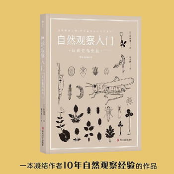 自然观察入门(认识花鸟虫鱼)认识花鸟虫鱼 万物漫游指南自然科普插图昆虫植物观察书籍