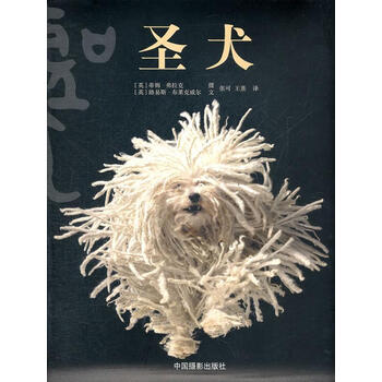 RT正版 圣犬