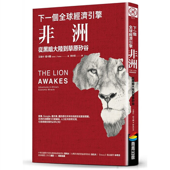 台版 下一个经济引擎 非洲 从黑暗大陆到草原硅谷 非洲的消费实力已经崛起商业投资