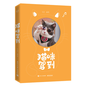 正版 猫咪驾到9787121386053