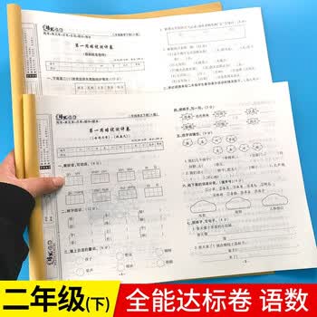 二年级下册试卷语文数学人教版全能达标100分同步训练小学2年级冲刺100分周考月考期中期末单元测试卷 共2本 语文+数学 二年级下册 人教版