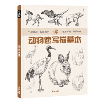 动物速写描摹本临摹结构书精微素描兴趣学线性线描创意儿童教材教程素材集手绘炭笔铅笔画画样本入门自学零基