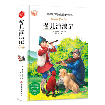 苦儿流浪记（精装版）  世界文学名著 原版译本 读物