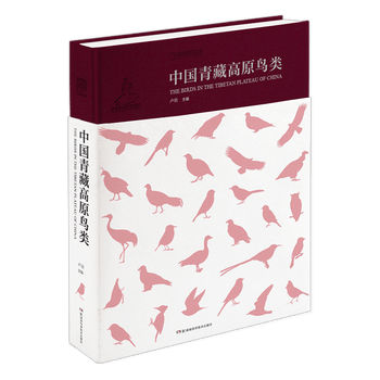 中国青藏高原鸟类 中国国家地理鸟类野外手册 鸟类形态图鉴 动物百科观鸟者实用宝典中国野生鸟类系列丛书