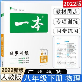 2022春新版 一本 同步训练 八年级下册 初中初二下学期同步练习册教辅书 全新正版 初中物理RJ(人教版)