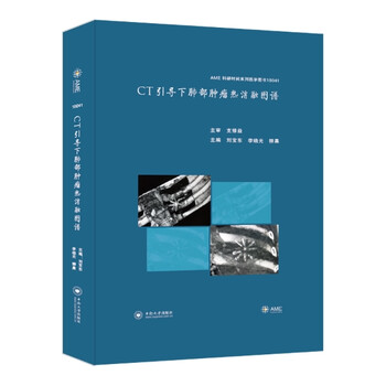 CT引导下肺部热消融图谱/医学/书籍