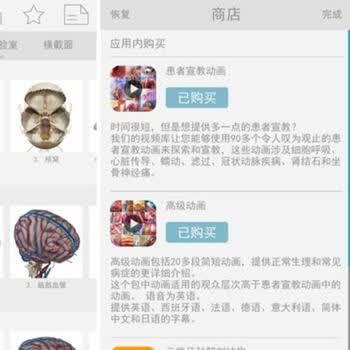 非实物 人体解剖高级版APP破解版（只限安卓系统）