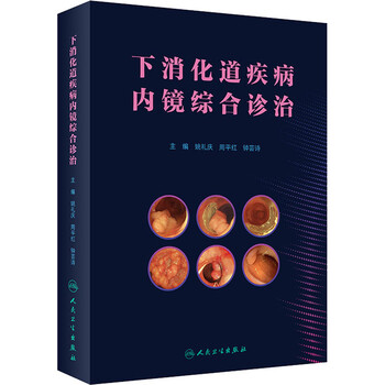 下消化道疾病内镜综合诊治 图书